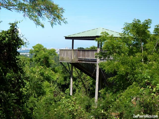 Los Bosques en Puerto Rico: 2016