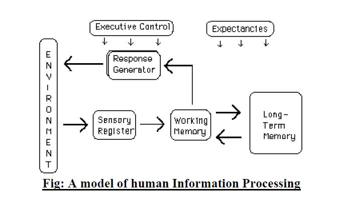 Describe the structure of the information-processing system | Computer ...