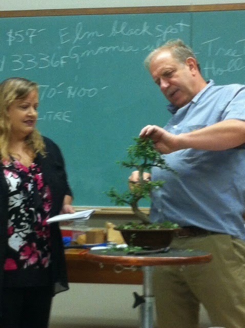 Bonsai Society of Acadiana: June 23,2014- Bonsai with David Easterbrook