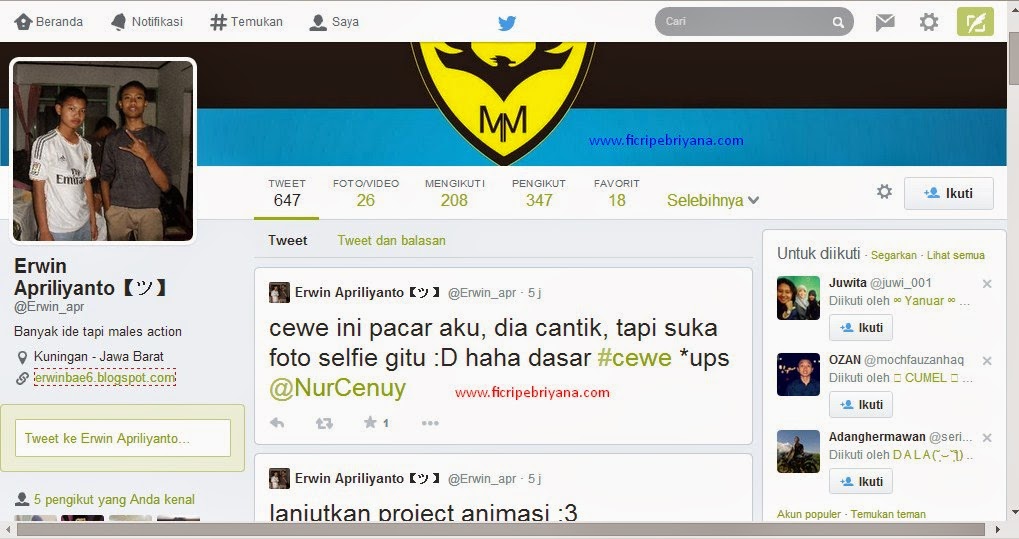 Tampilan Baru Twitter Mirip Facebook - Ficri Pebriyana