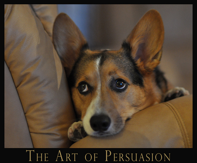 Classroom Freebies Too