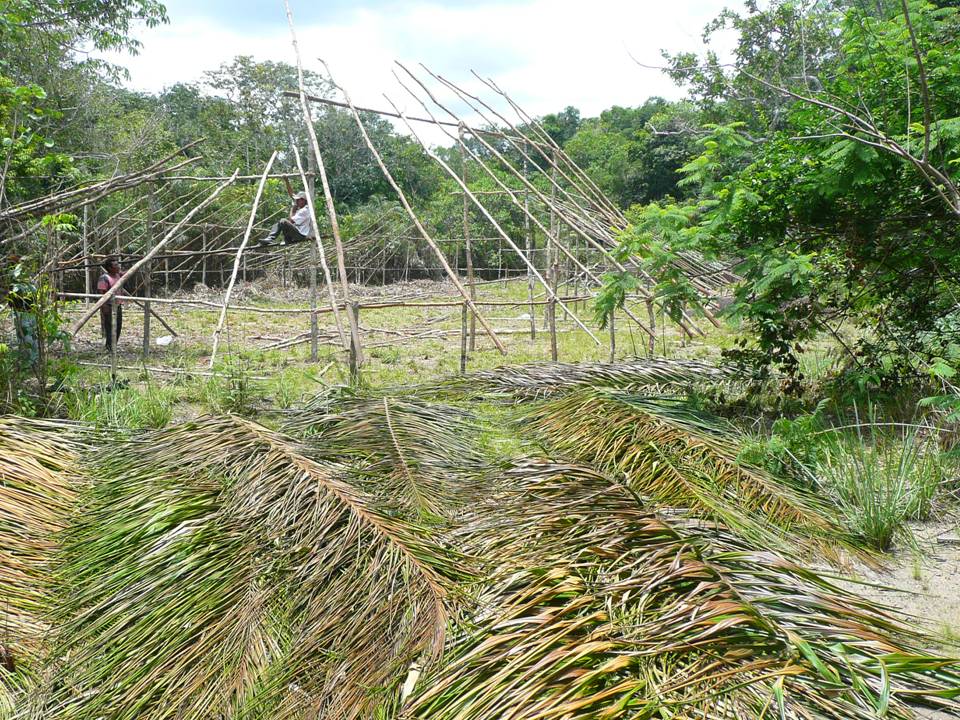 ARQUITECTURA INDÍGENA: CONSTRUCCION DE UN SHABONO YANOMAMI or "Making ...