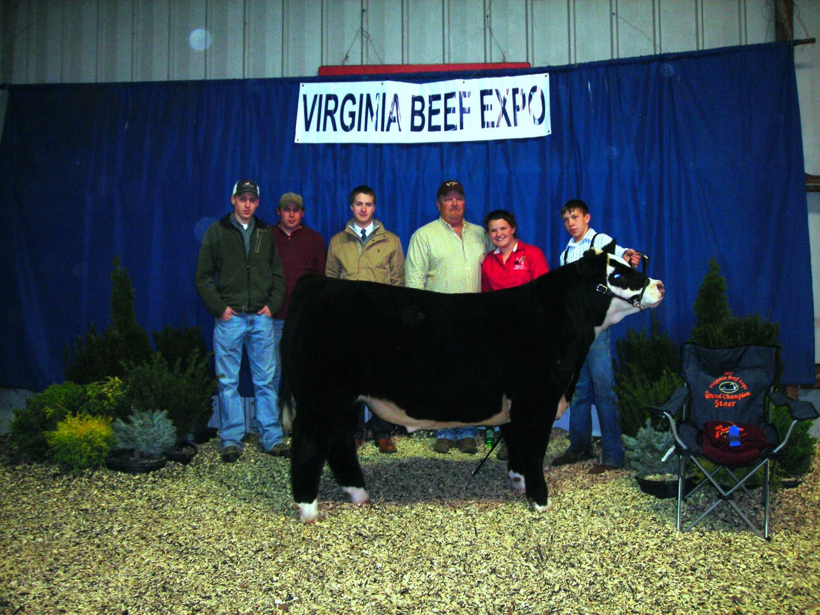 Executive Sires, Inc.: VA Beef Expo Champion Steer out of a Heatwave 1 Dam!
