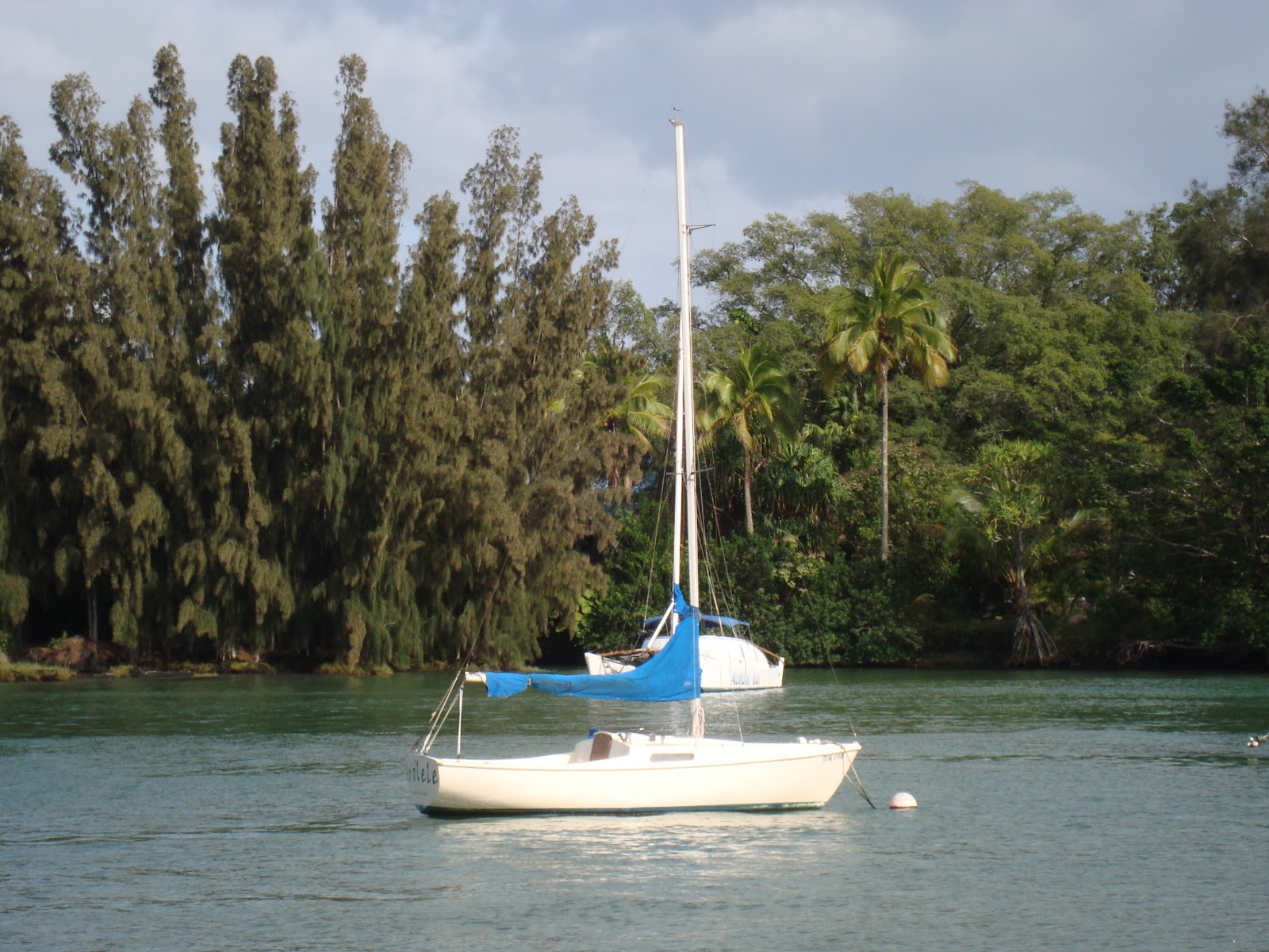 Aloha On My Mind: Aloha to Hilo Heritage Trail