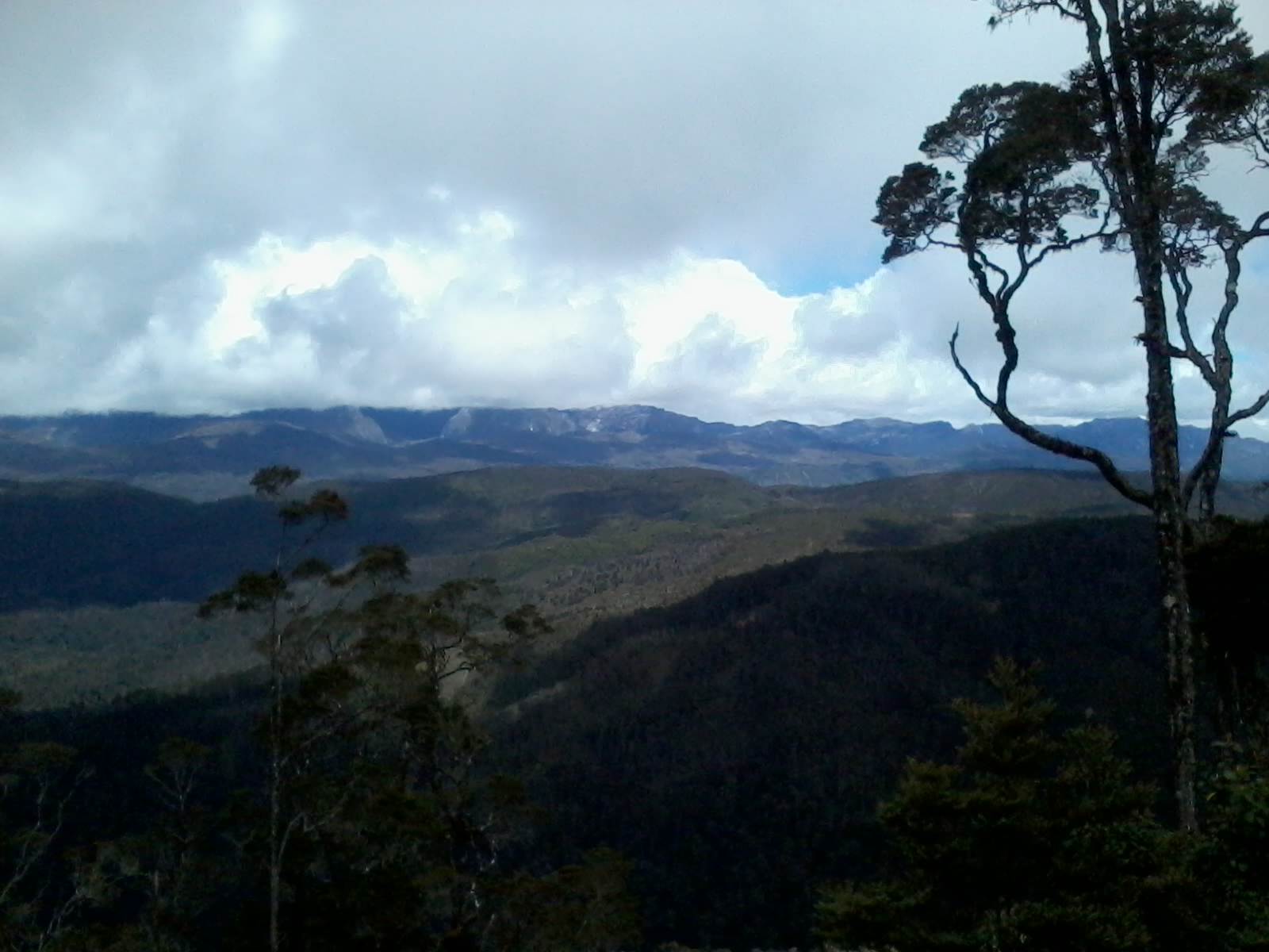 Keindahan Pegunungan Trikora Wamena