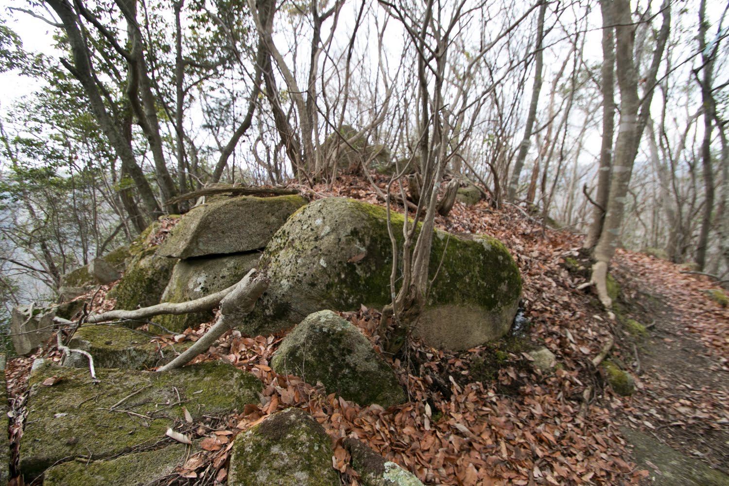 Tenjinyama Castle (Bizen) -When it goes around it comes around- | Ken's ...