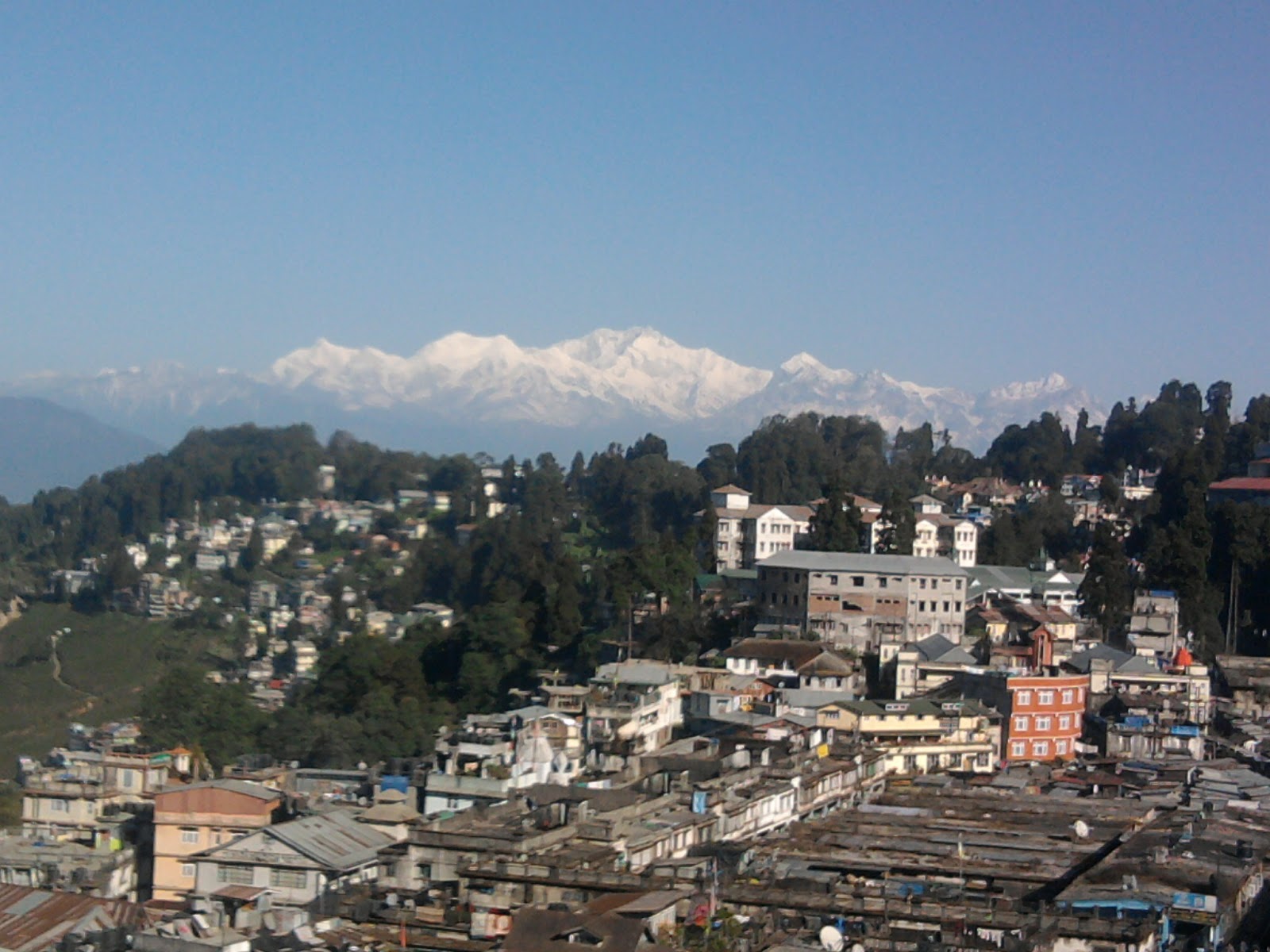 Recent Darjeeling - SEARCH DARJEELING , INFORMATION ABOUT DARJEELING ...