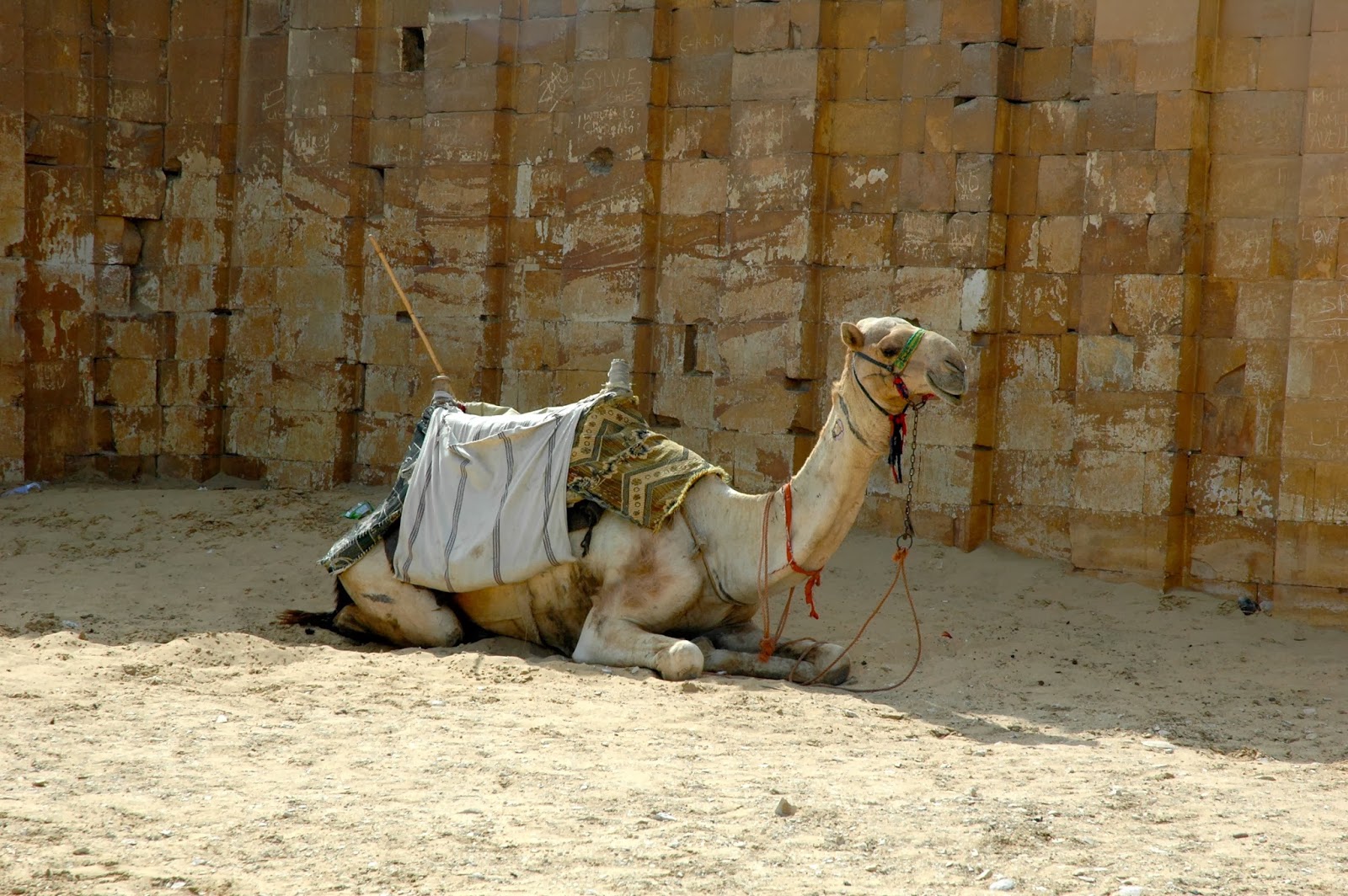 Egypt Excavation Project : Egypt Excavations