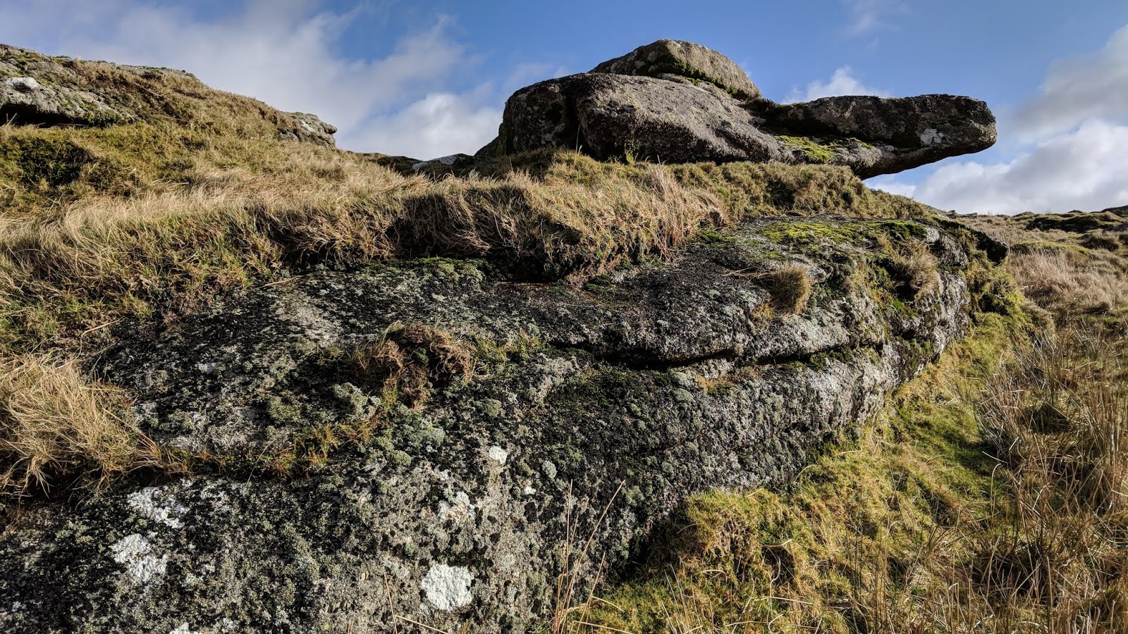 Max Piper - Tor Bagger: Dartmoor: The Tors on Bridestowe and Sourton ...