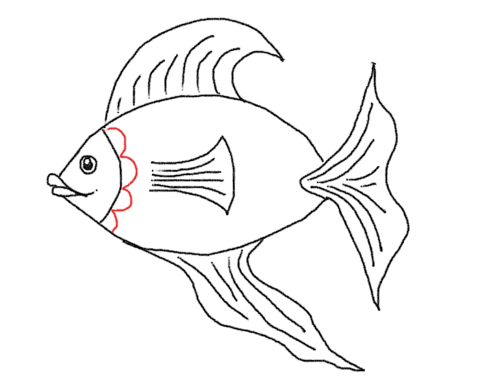 30Artz - Justinn Kurtz: How to Draw a Fish