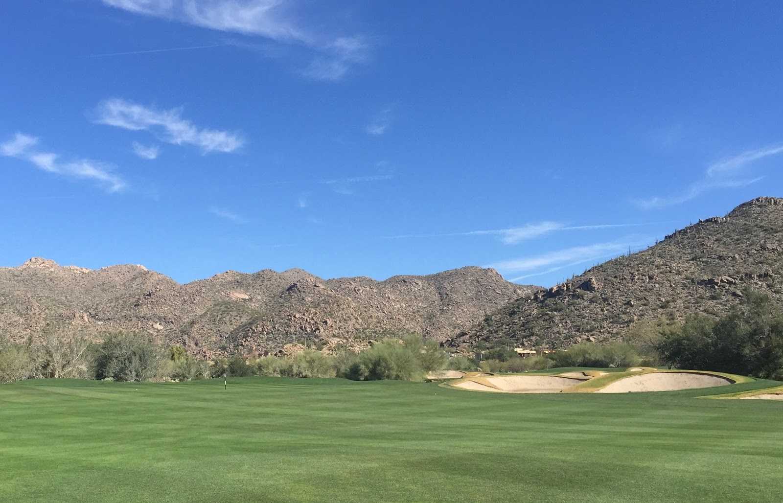 Literally Letty: Golf Gypsy: Shots of the Day