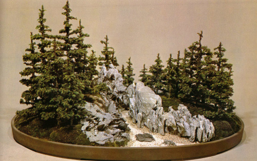 First Things to Know to Starting Saikei