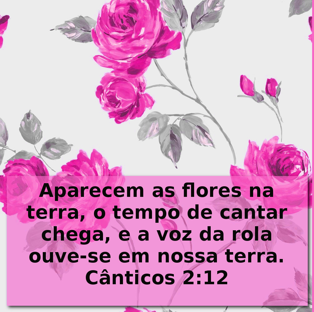Jesus salva de graça: TEXTURA DE FLORES E ROSAS (PRIMAVERA) - PAPEL DE ...