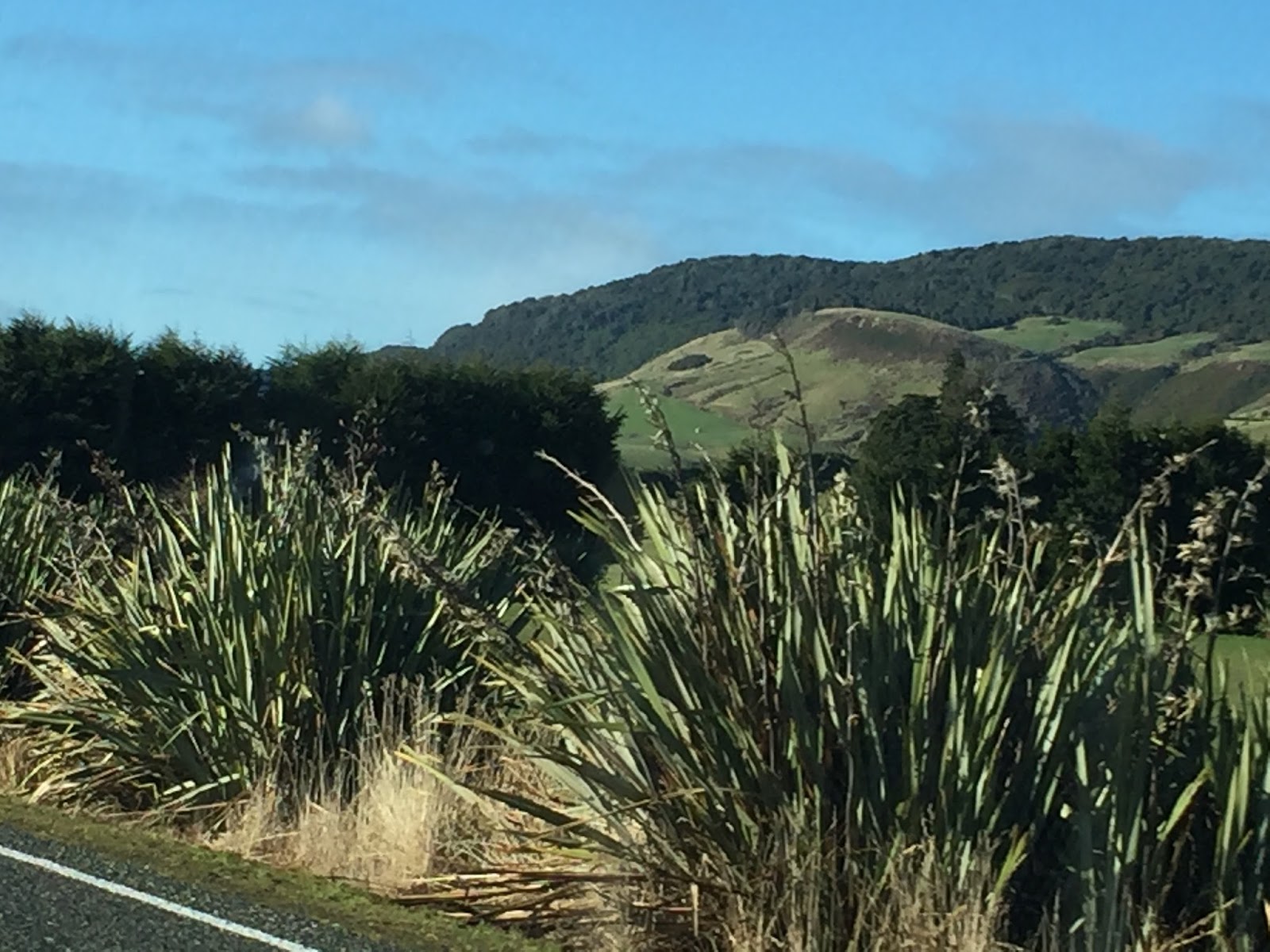 THE ROAD TAKEN : June 2017