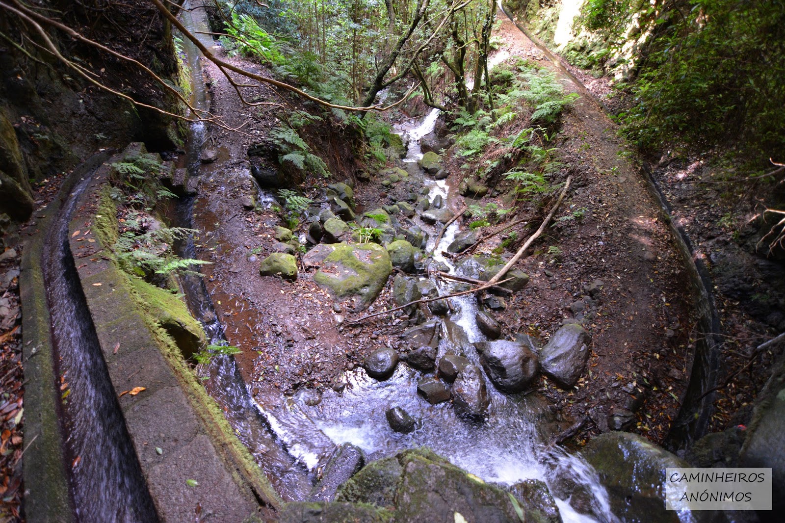 Caminheiros Anónimos Levadas da Madeira : Levada Grande (Achadas da Cruz)
