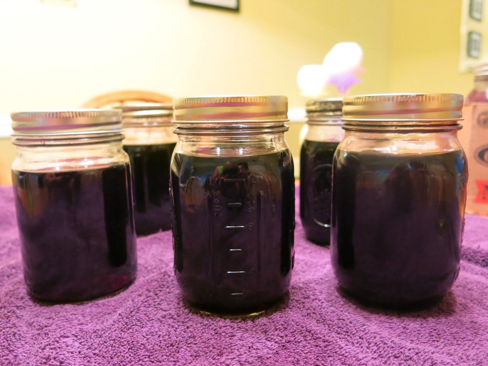 BJ Brinker's Home Cooking: Canning Blueberry Syrup