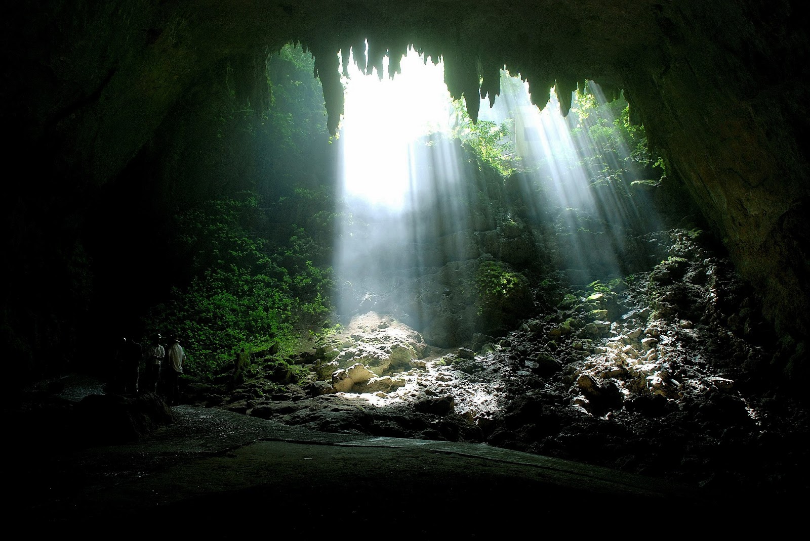 Parque de las Cavernas del Río Camuy - iNT3R3S4NT3!