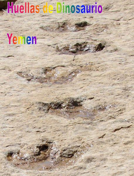 Sapienciario de culturemas: Misterios de nuestro mundo y del universo ...