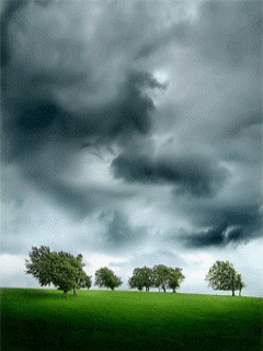 PSHT Mesuji Lampung Rayon Pasir Intan - Sungai Badak