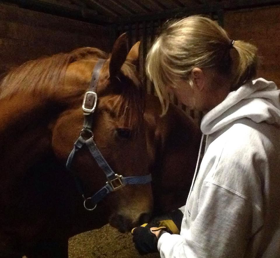 Hibiscus House: Spotlight Pam Stone: Comic, Actor, Radio Host, Writer ...