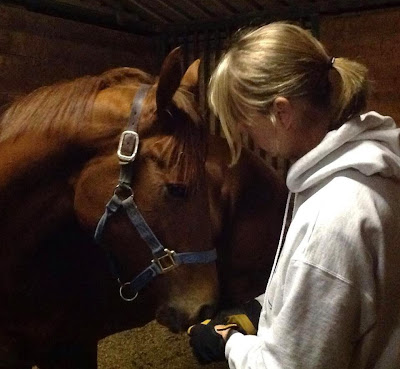 Hibiscus House: Spotlight Pam Stone: Comic, Actor, Radio Host, Writer ...