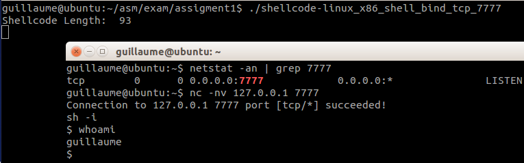 Network Filter Slae Assignment 1 Bind Shell Tcp Shellcode