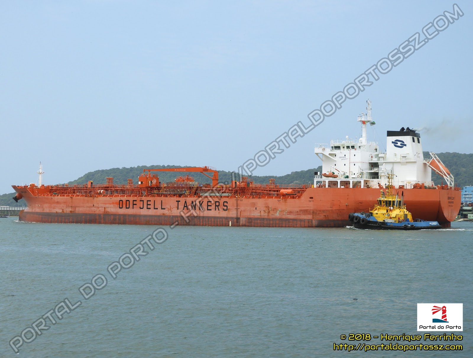 Bow Elm - Portal do Porto