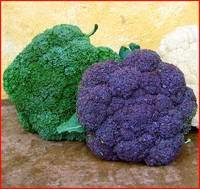 Családra hangolva: Lila brokkoli