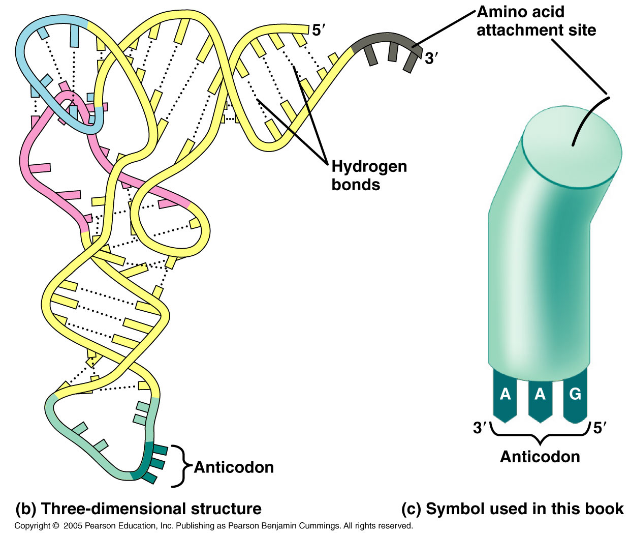 Des molécules en volume et en relief en classe … impression 3D pour l ...