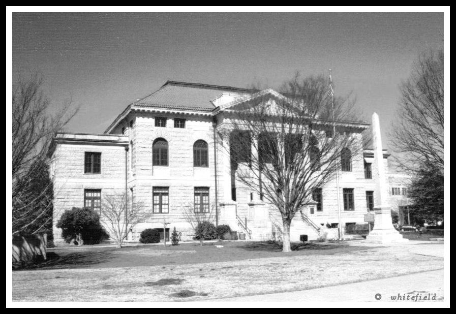 NEXT STOP...DECATUR: What was Petition outcome (How Many against ...