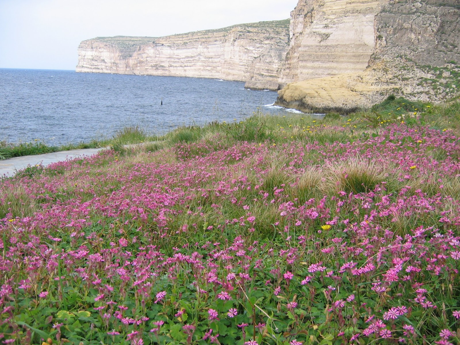 Malta and Gozo Natural Scenery: From Xlendi to Ta' Cenc