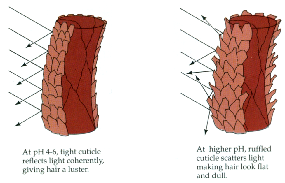 Style Your Hair With Chemistry