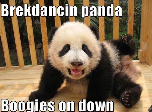 Funny Panda « Funny World