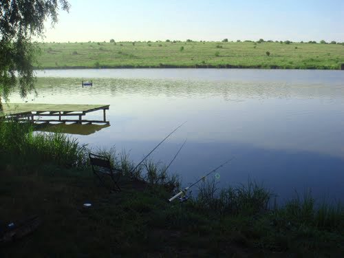 Pasiunea Pescuitului: Balta Greaca