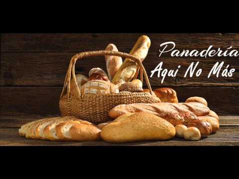 Base de datos 210: Panaderia El Pan Ochon