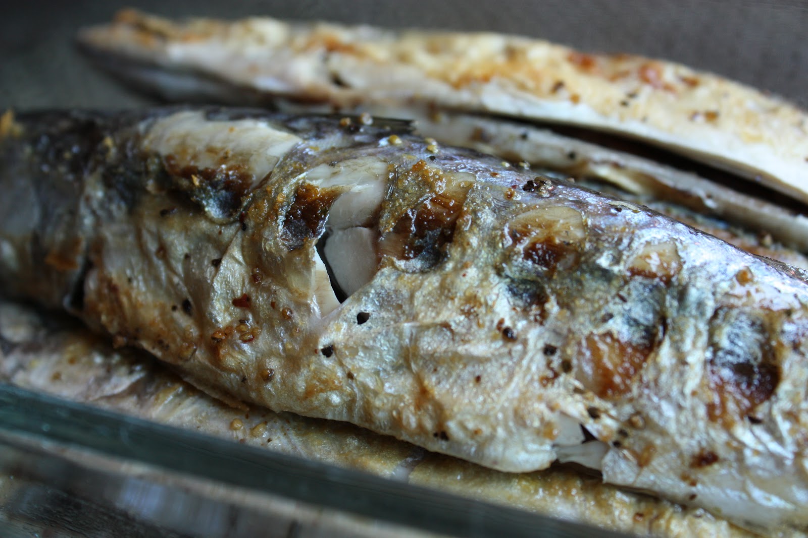 Cook Book Hook: Skuše i inćuni