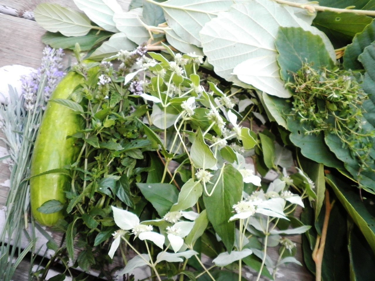 The Essential Herbal Blog: Off the Beaten Path - Distillation
