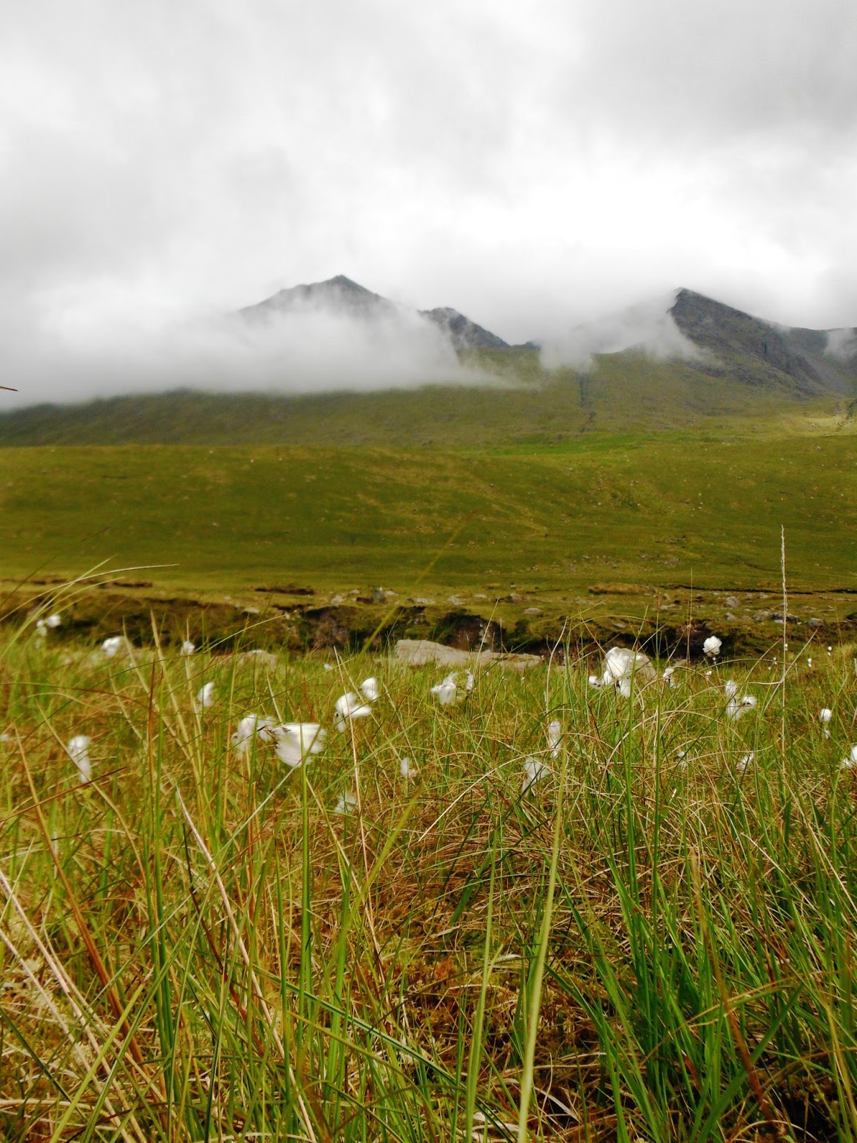 A simply Sensational day on the classic Howling Ridge... - Kerry Climbing
