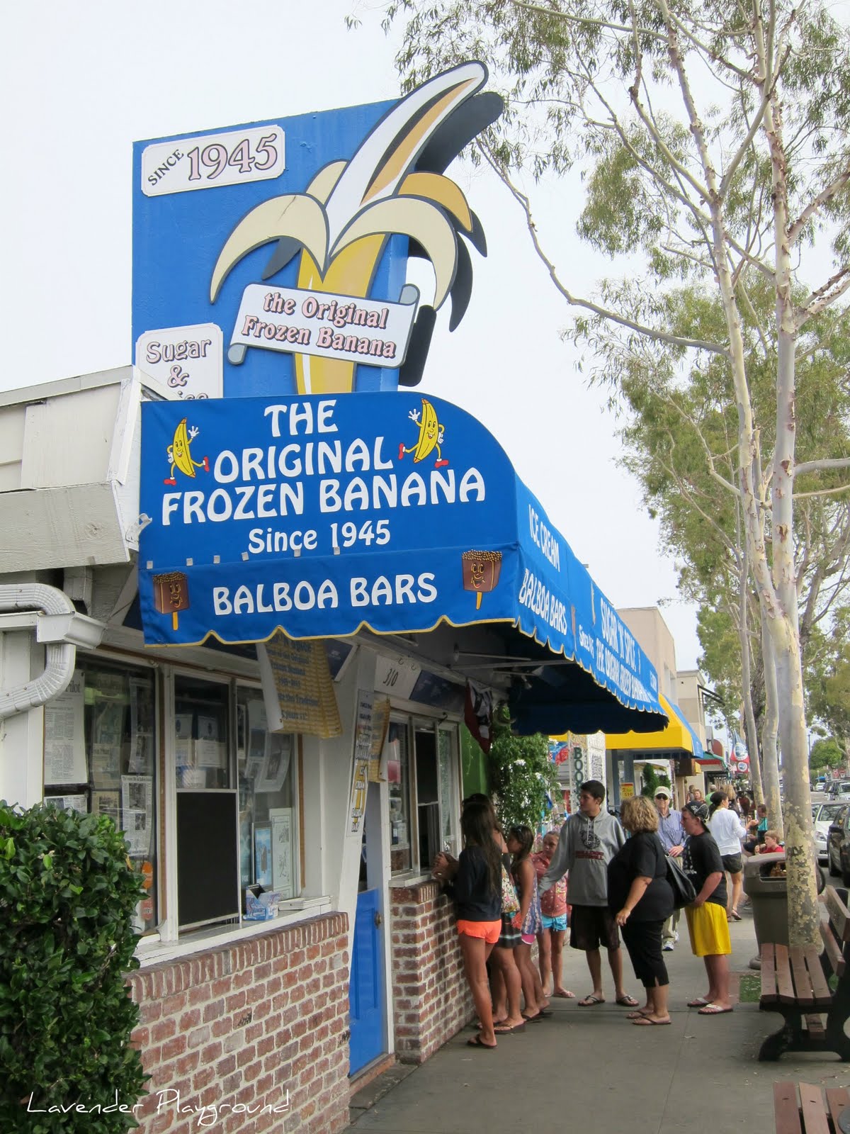 Lavender Playground: Balboa Island