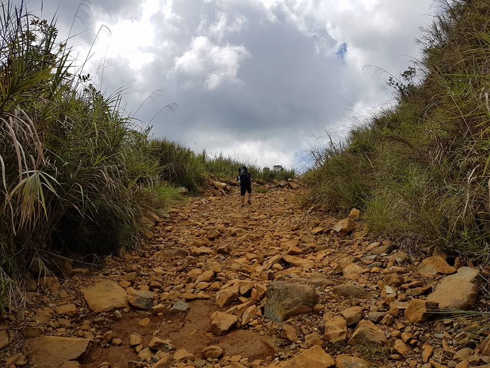 Wandering Den: Mt. Tapulao: Rocky Road to Summit