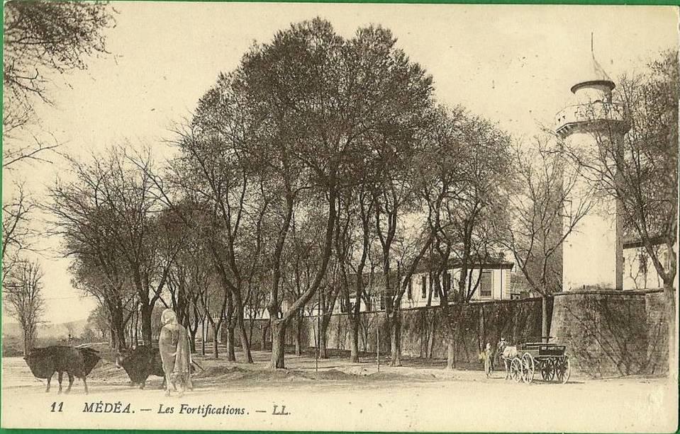 association les amis de la ville de medea