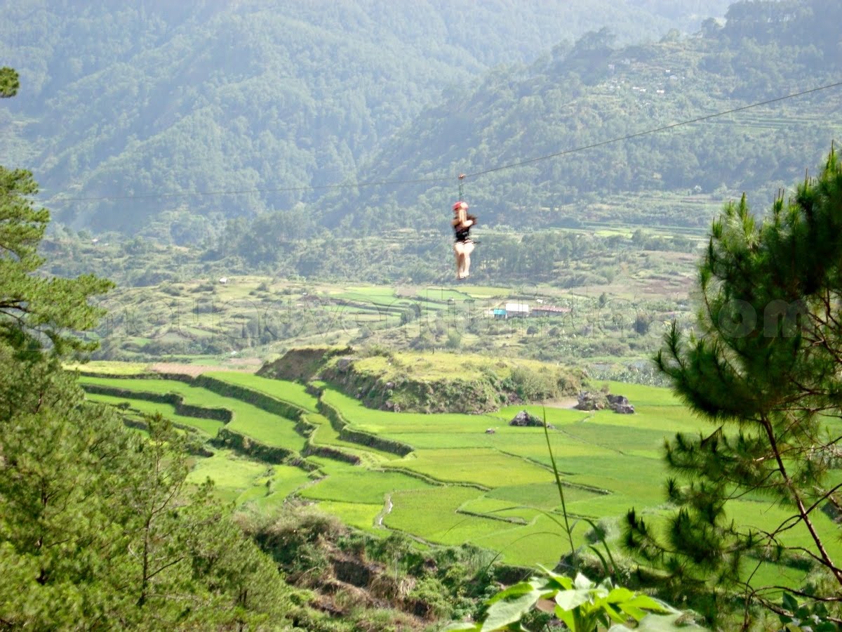 Mountain Province - Zip lining over Sagada's Kapay-aw Rice Terraces ...