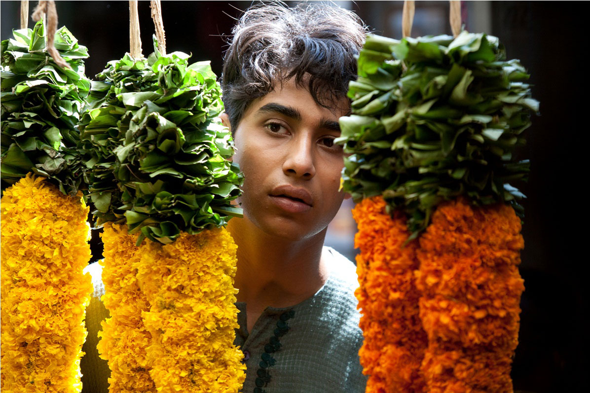 El Coleccionista de Tebeos: La magia de "La vida de Pi"