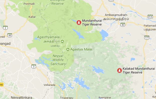 TAMILNADU SANCTUARY: Nellai Birds Sanctuary