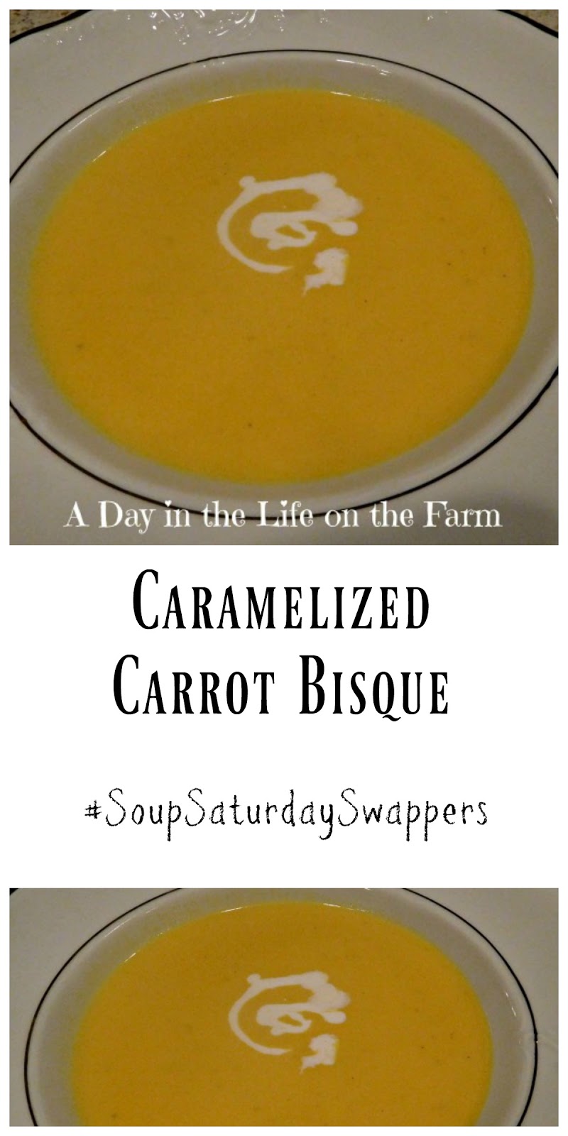 A Day in the Life on the Farm: Caramelized Carrot Bisque # ...