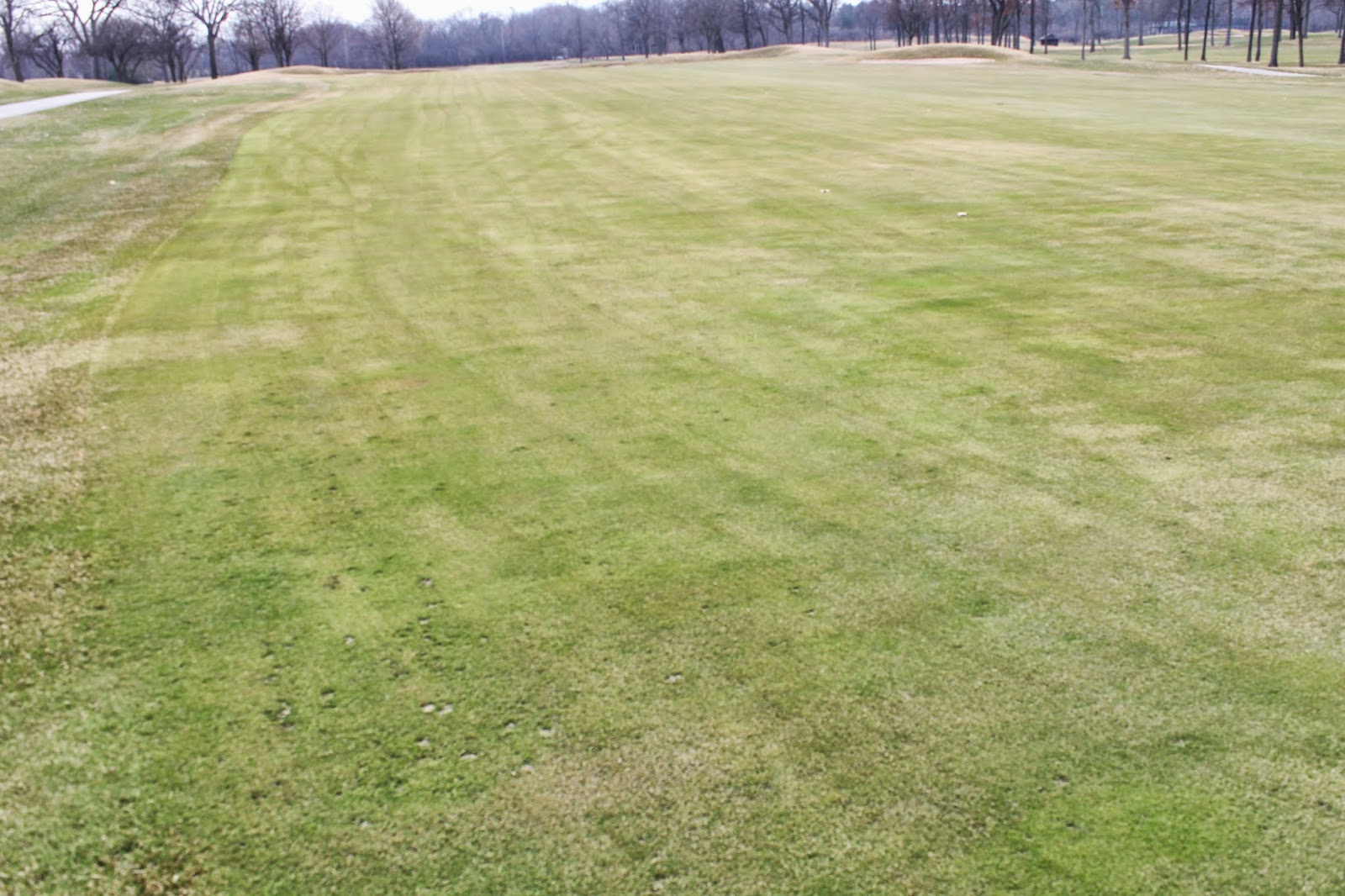 Northmoor Country Club Golf Course Operations: April 2015