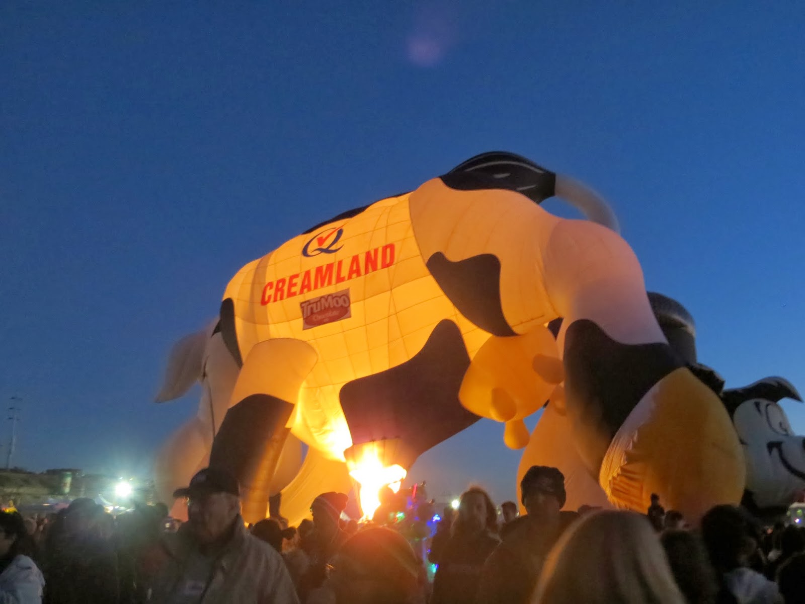 Tales From The Camping House: Up, Up and Away In My Beautiful Balloon