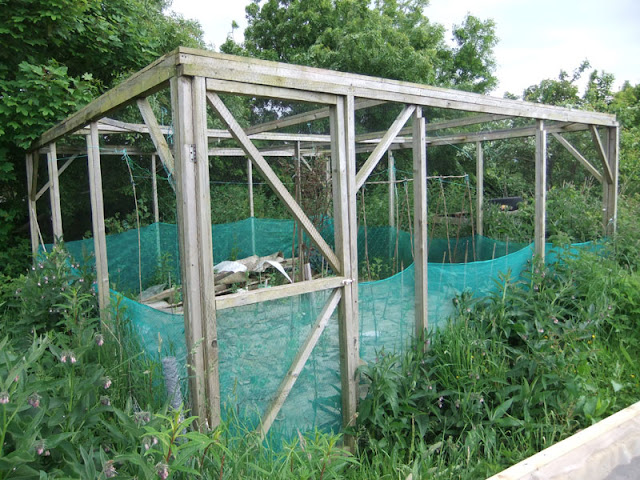 Fruit Cages Diy | HomeDesignPictures