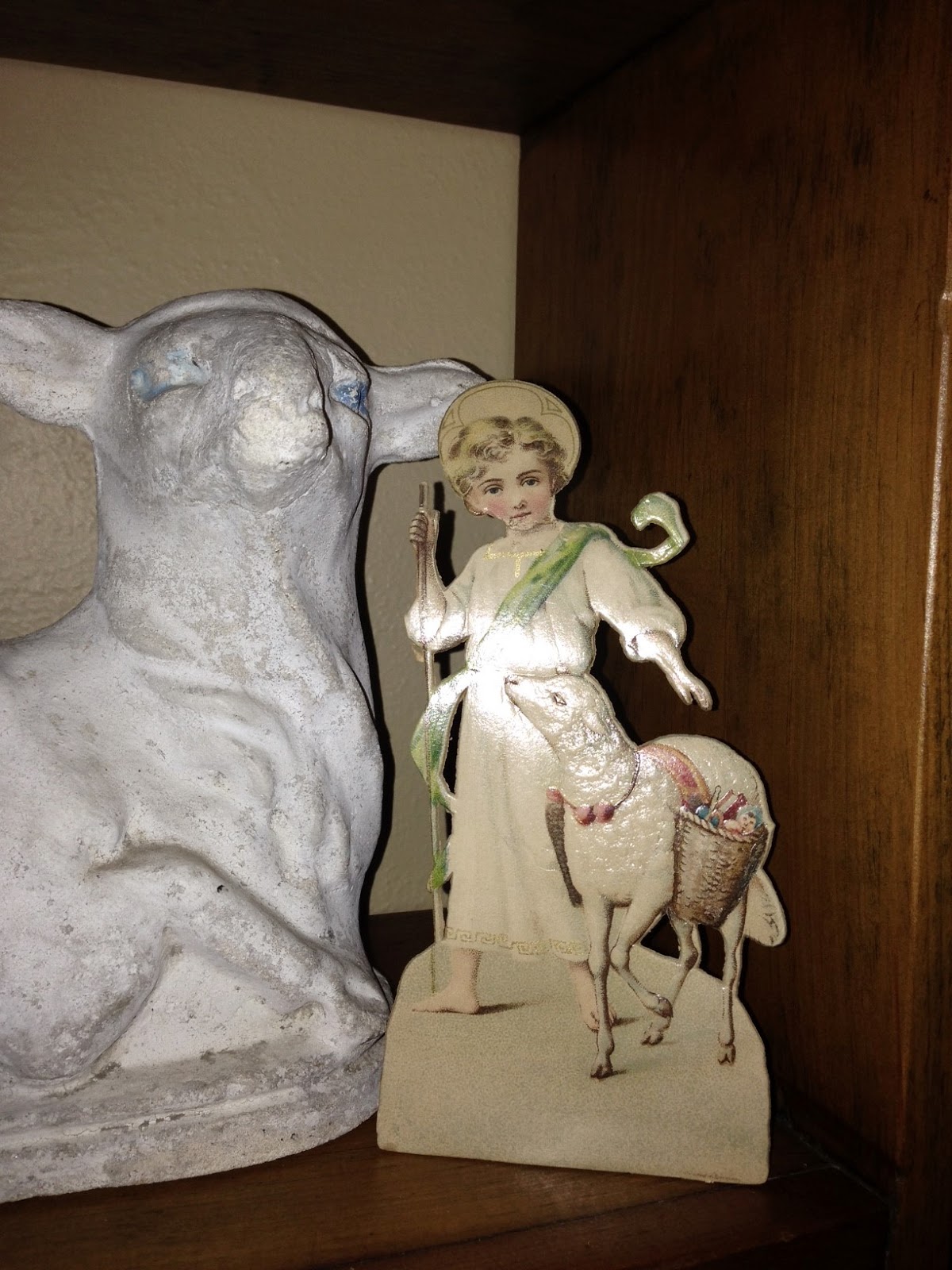 Scattered Seed Samplers: 2014