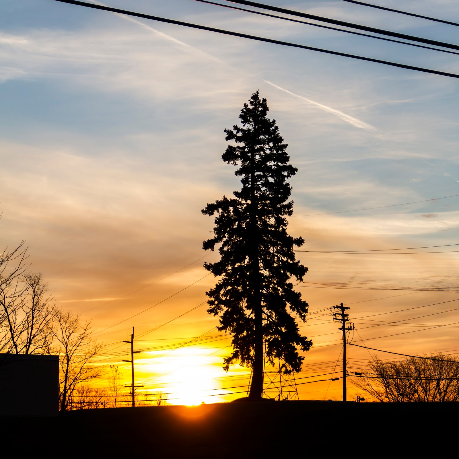 Elemental Details: "The best and most beautiful things in the world ...